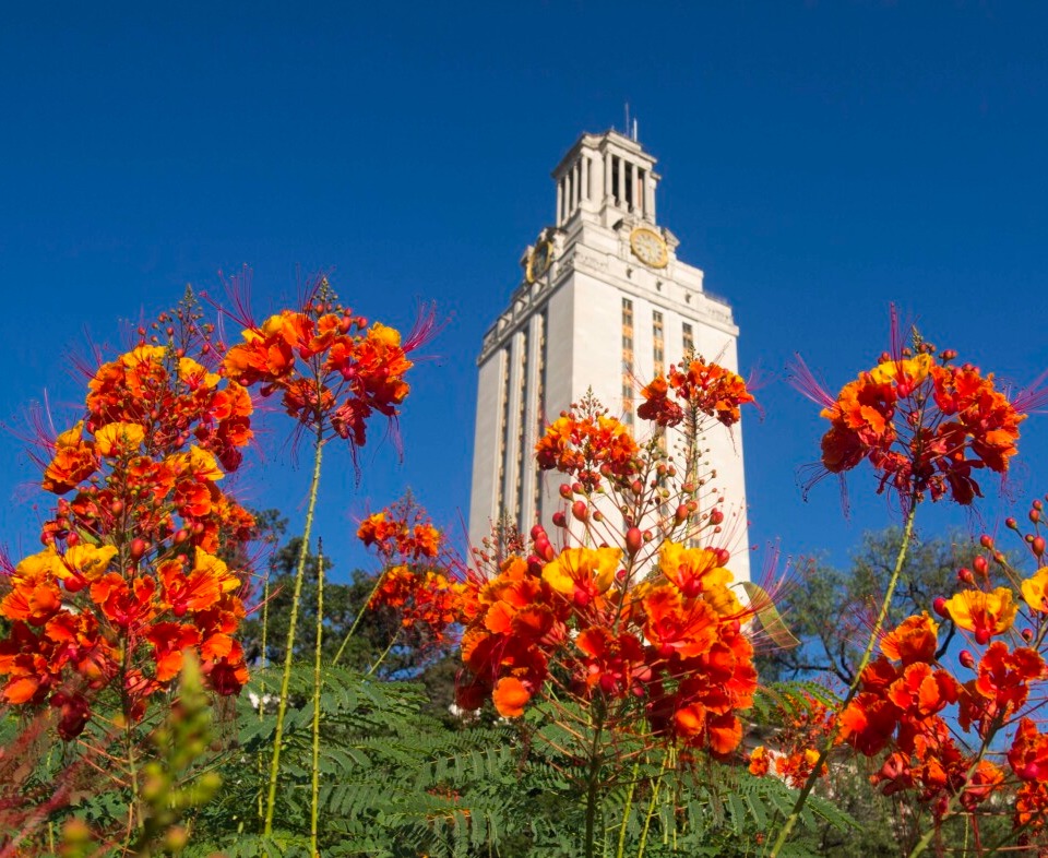 Behavioral And Social Data Science Liberal Arts UT Austin Behavioral And Social Data Science Liberal Arts UT Austin
