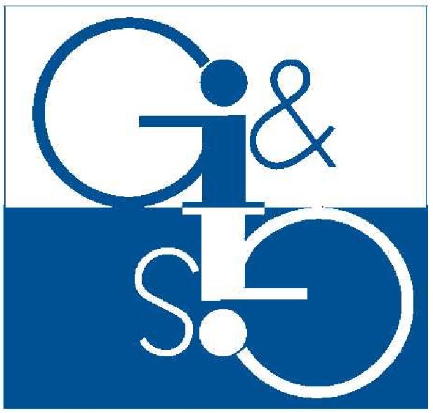 Common GIS techniques for vector and raster data processing ---GISc ...