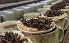 Seminar Series: Sarah Besky on "Quality, Taste, and the Persistence of ...