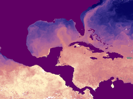 Symposium: The Future of the Gulf of Mexico Loop Current>