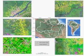 Professor Arima’s Research on Deforestation Patterns in the Amazon ...
