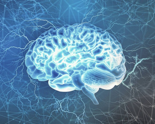 NIH BRAIN Initiative Grants Award to UT Austin Psychology Professor to ...