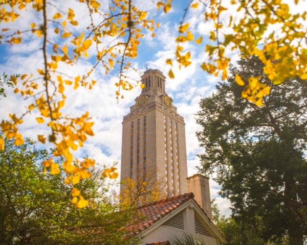 Shannon Cavanagh Featured in The Guardian>